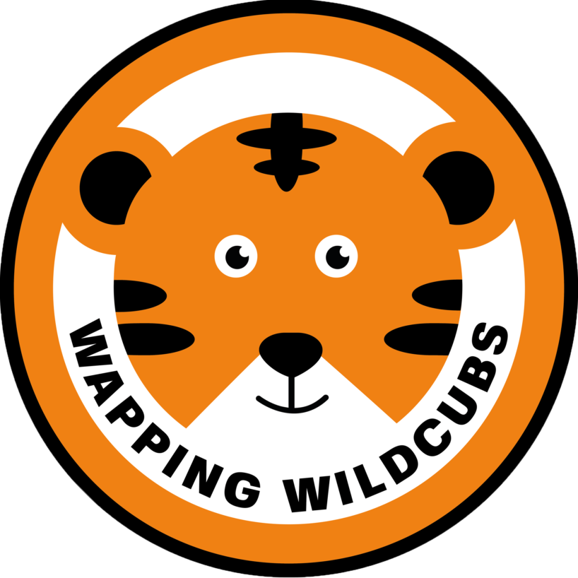 Junior Volleyball - Wapping Wildcats